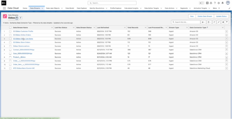 Salesforce Data Cloud: Data Mapping & Best Practices Blog, Data Cloud
